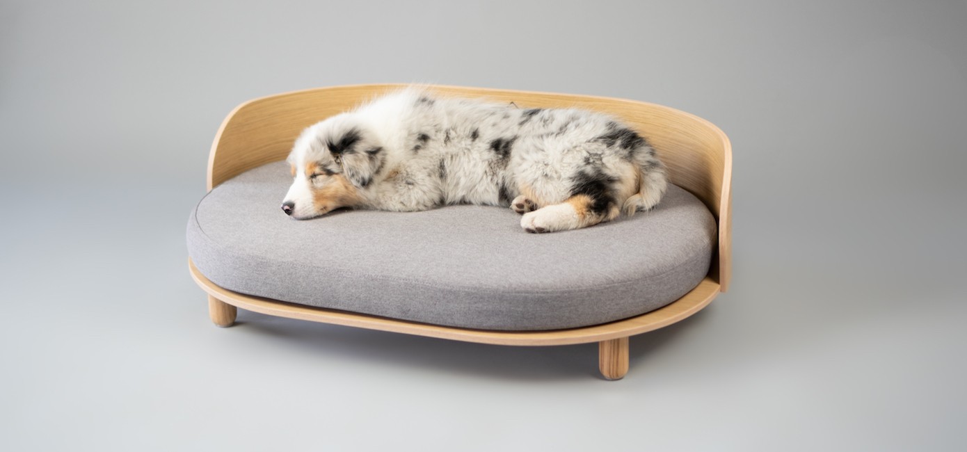 The 10 best pet furniture brands for your dog or cat | Style Is What